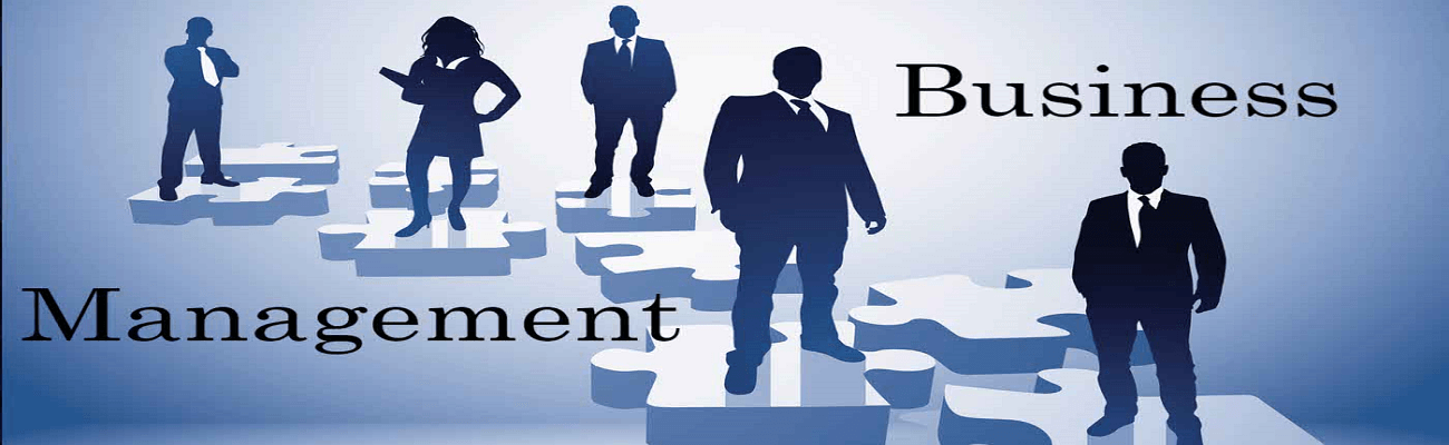 IB DP Business Management Standard Level & Higher Level